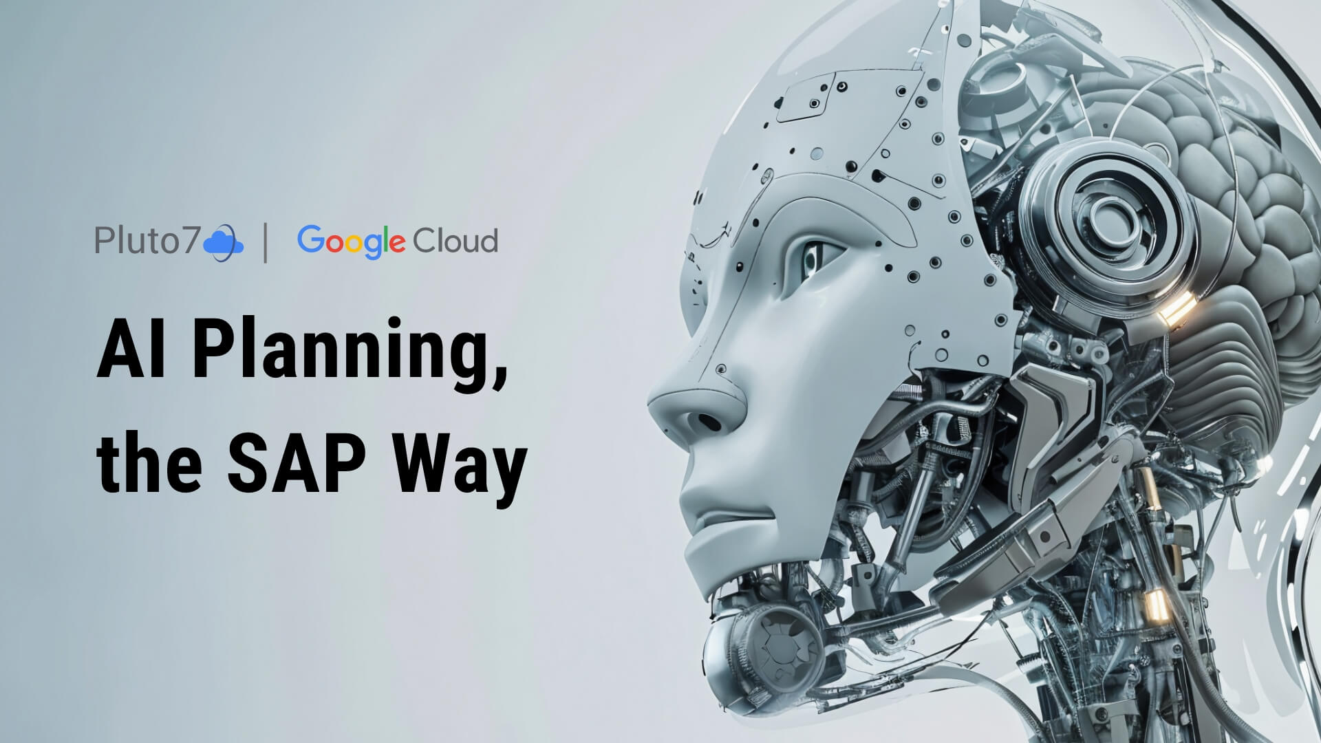 Planning in a Box - Pi Agent: The AI Platform for SAP Enterprises to Drive Real-Time Decisions ...